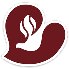 BLD SF Bay Area Praise Ministry